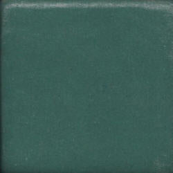 MBUG028 Evergreen &n...